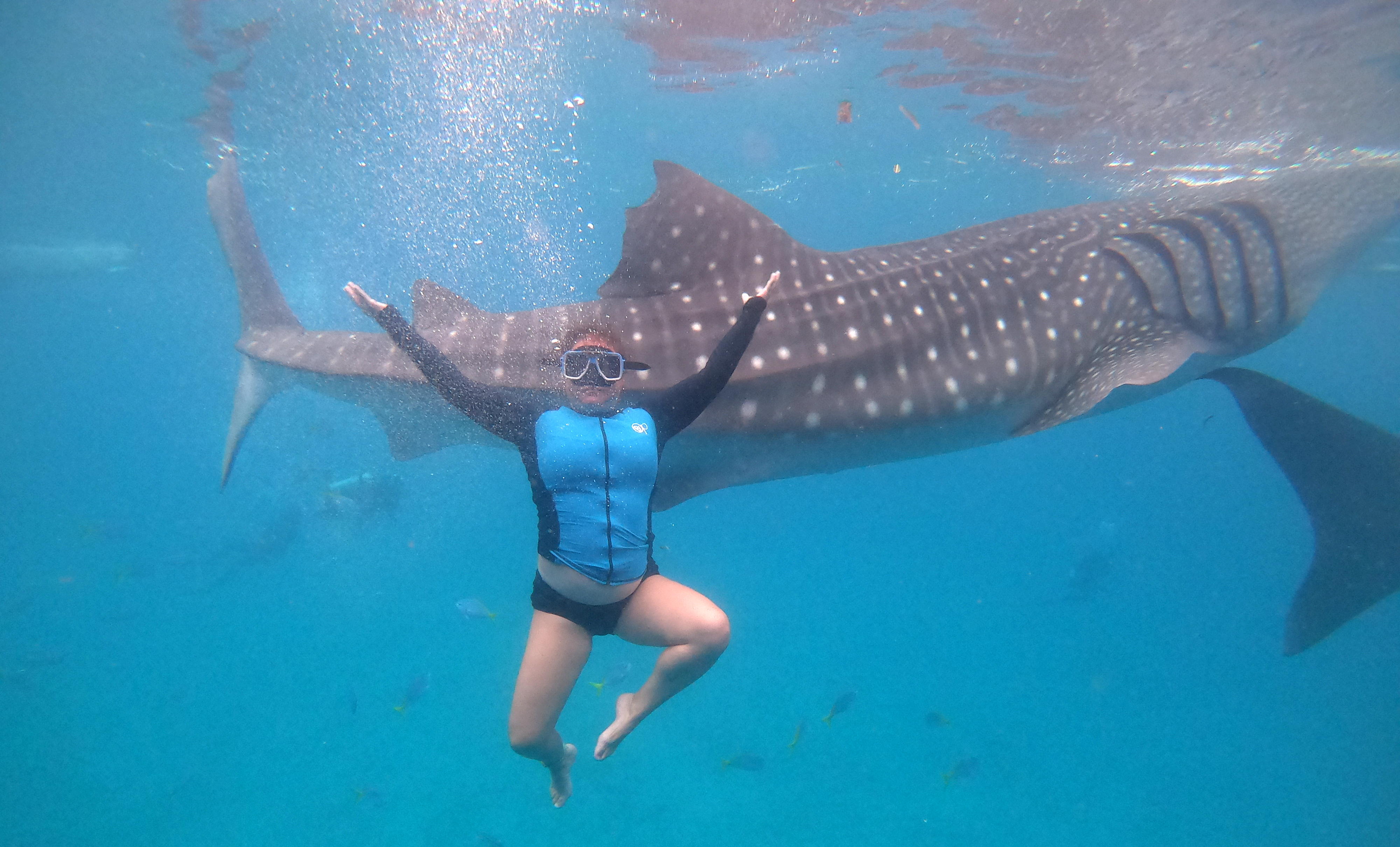 PAXTravelJobs - Stephanie McDonald returns to industry as Canadian BDM ...