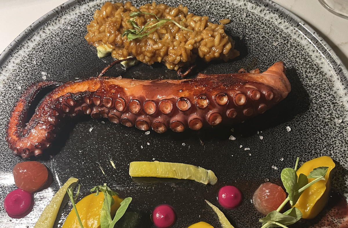 PAXTravelJobs - On Location: “Disruptive, fun, sexy”: Hyatt Ziva Cap ...