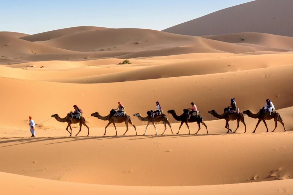 PAXTravelJobs - Transat launches packages, tours & excursions for Morocco